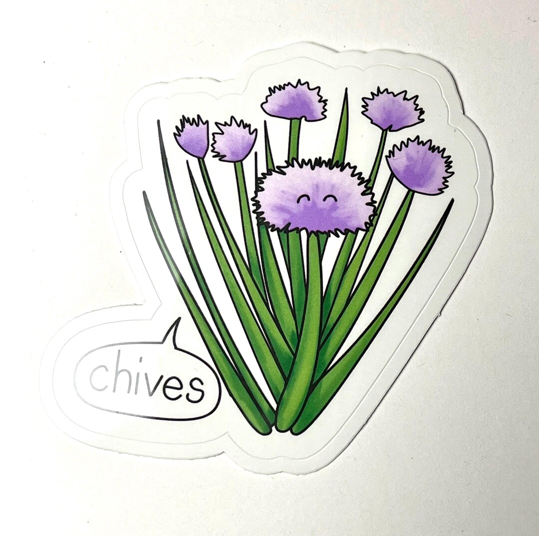 Cute Chives Stickers - Set of 2 Vinyl Stickers - Etsy