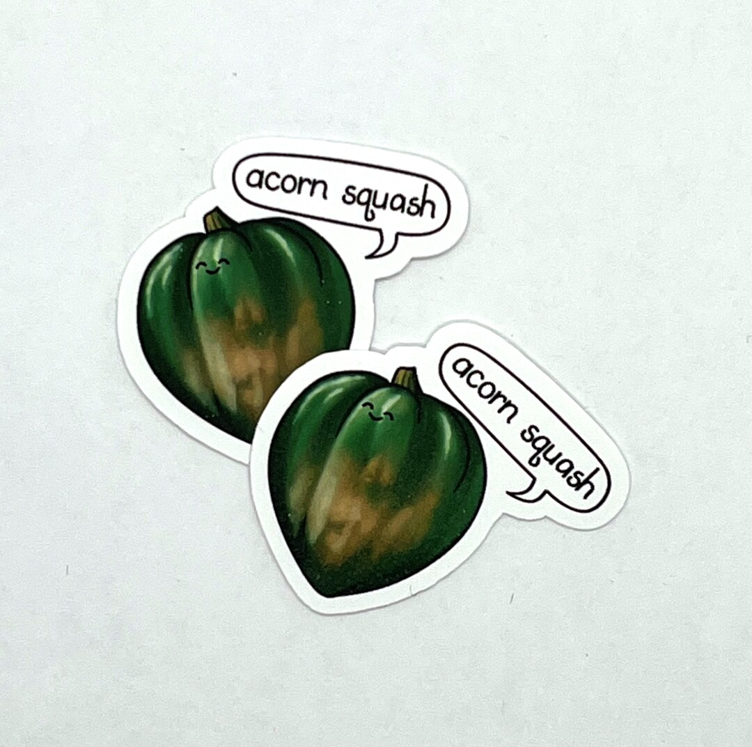 Cute Acorn Squash Vinyl Stickers - Etsy