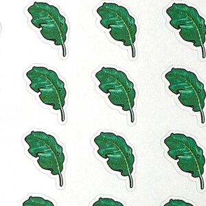 Cute Collard Green Planner Stickers - Set of 30 Mini Paper Stickers - Etsy