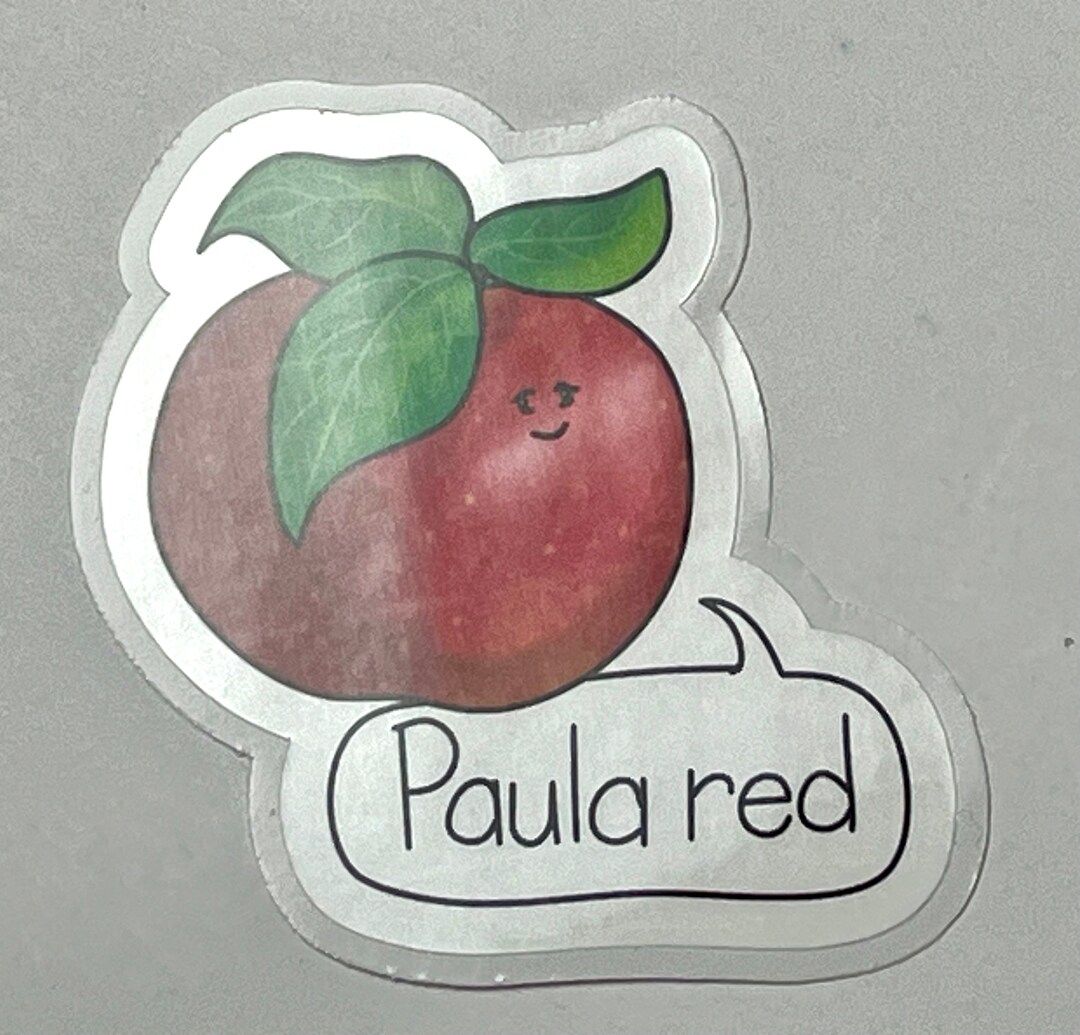 Cute Paula Red Apple Vinyl Stickers - Etsy