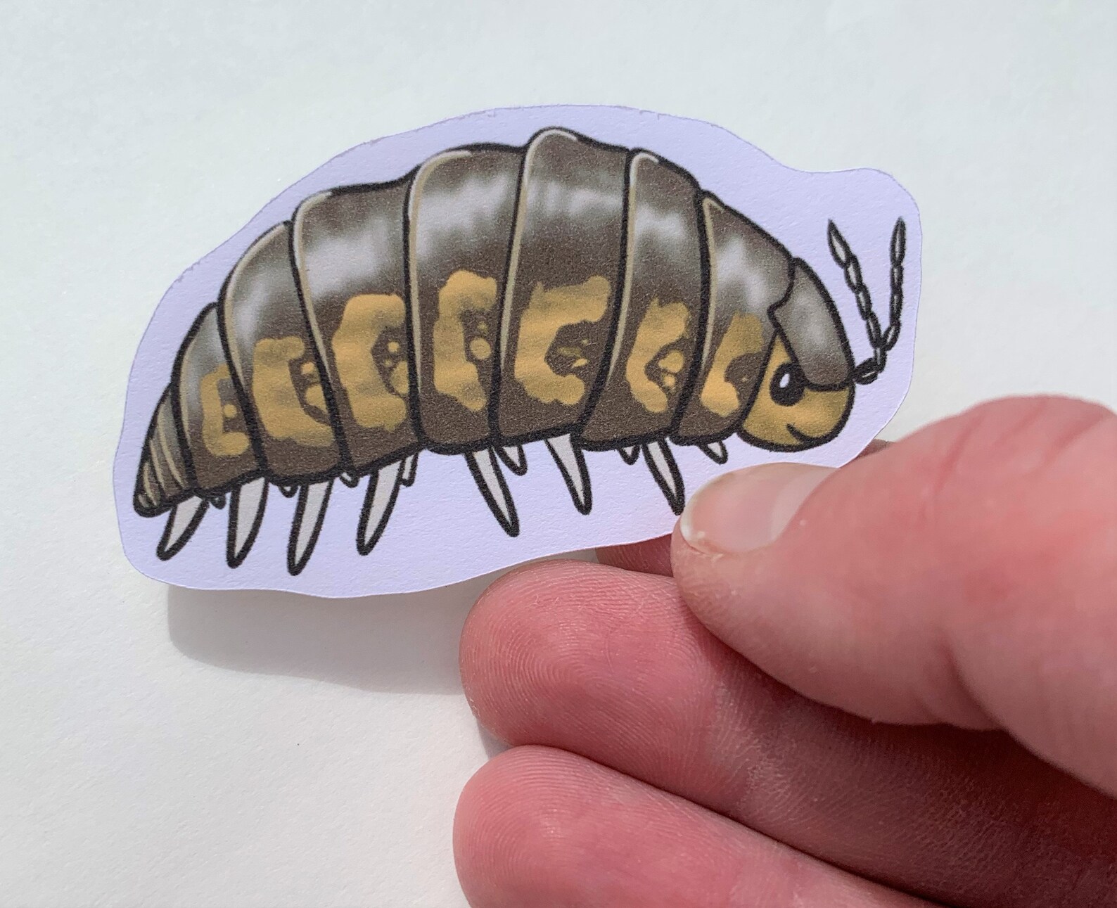 Cute Cartoon Isopod Venizillio Parvus Sticker | Etsy