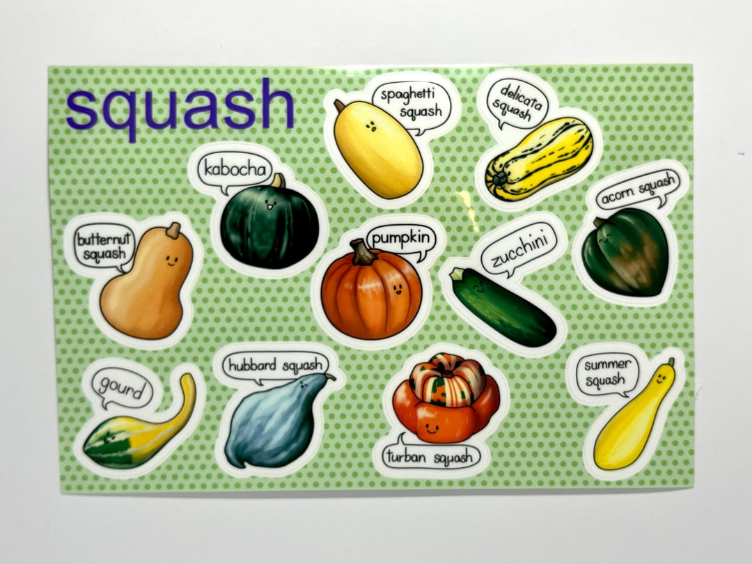Set of 11 Cute Squash Stickers - Mini Happy Vegetable Stickers - Etsy