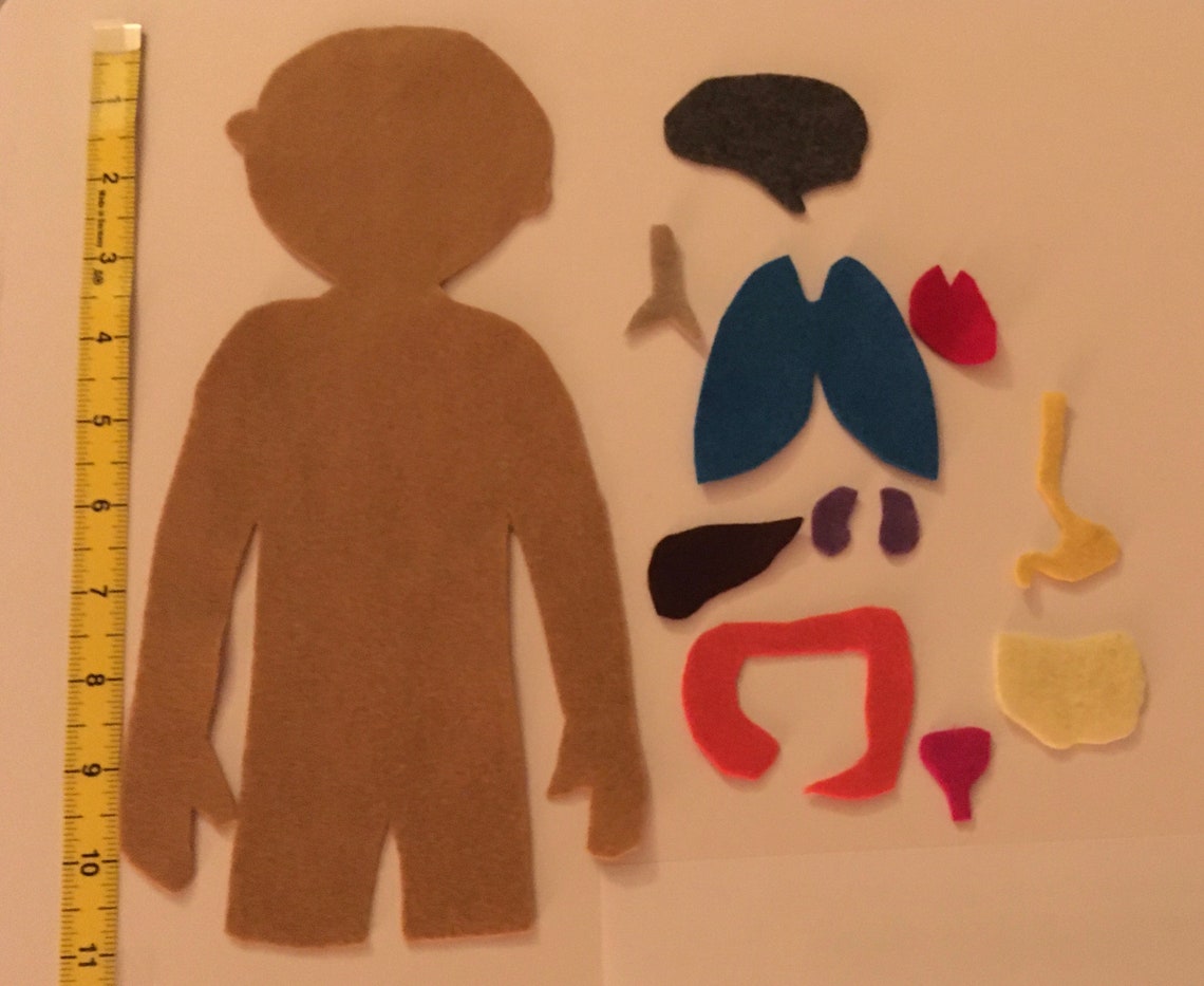 Human Anatomy Felt Story - Human Body - Children’s Felt Educational ...
