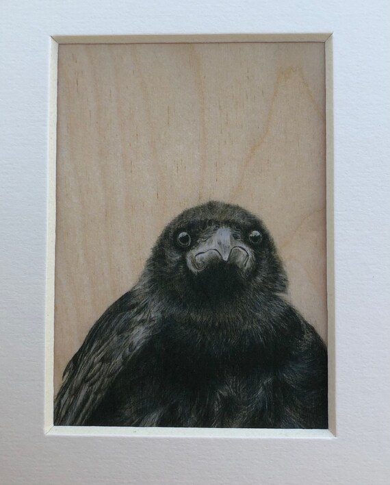 Funny Cute Raven Bird Drawings