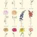 Birth Flowers Personalized Digital Download Print | Custom Names and ...
