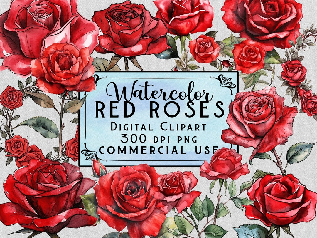 Watercolor Red Roses Clipart Watercolor Rose PNG Bundle on Transparent ...