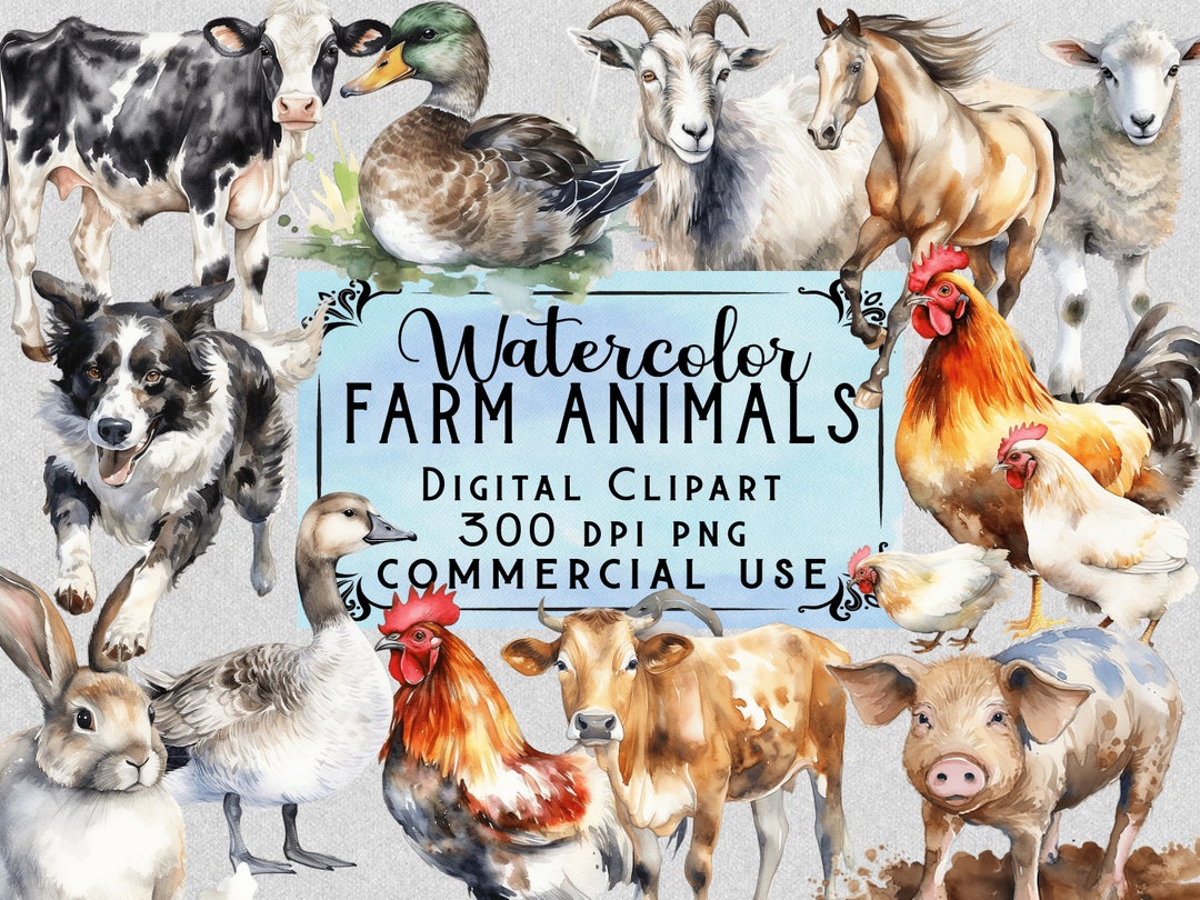 Farm Animals Clipart Watercolor Warm Animals PNG Bundle on Transparent ...
