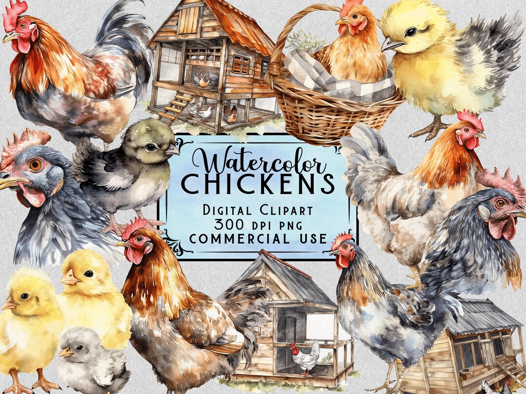 Watercolor Chicken Clipart Chicken PNG Bundle on Transparent Background ...