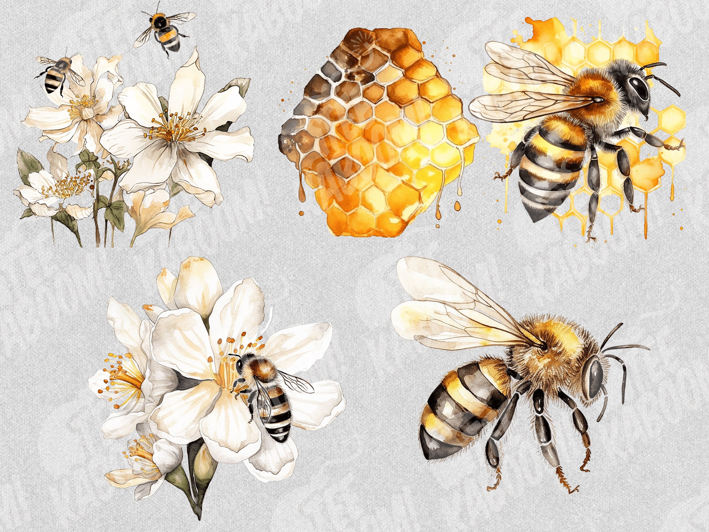 Honey Bee Clipart Watercolor Honey Bee Clipart Bee PNG - Etsy