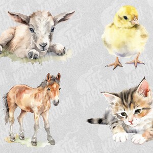 Baby Farm Animals Clipart Watercolor Baby Farm Animals PNG Bundle on ...