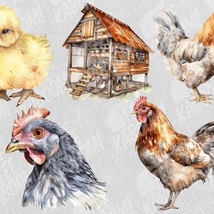 Watercolor Chicken Clipart Chicken PNG Bundle on Transparent Background ...