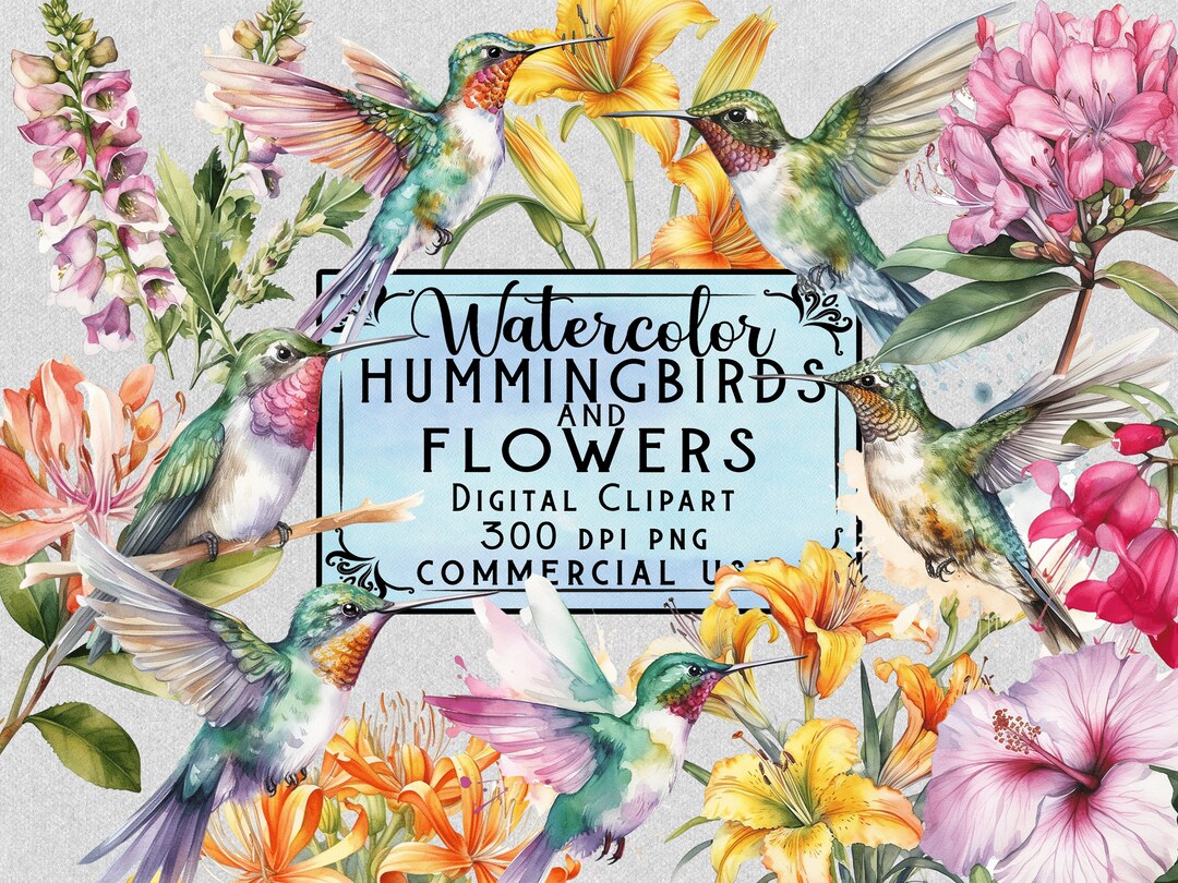 Watercolor Hummingbirds Clipart Hummingbird PNG 35 Elements Bundle on ...