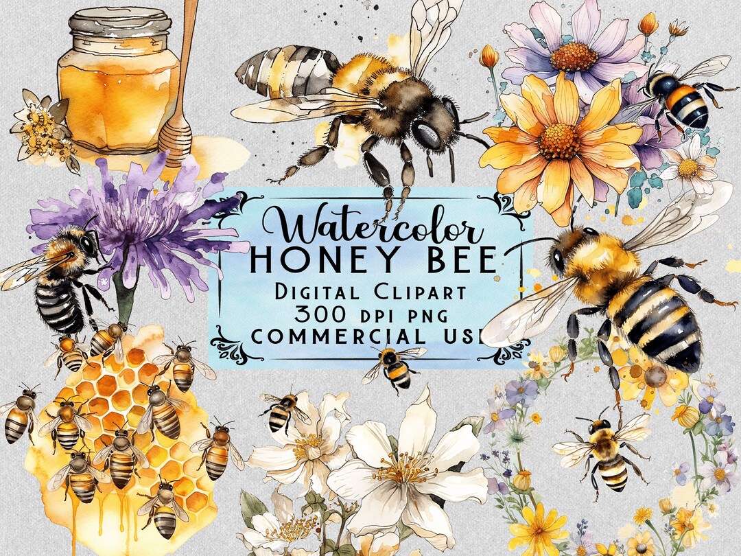 Honey Bee Clipart, Watercolor Honey Bee Clipart, Bee PNG Bundle on ...