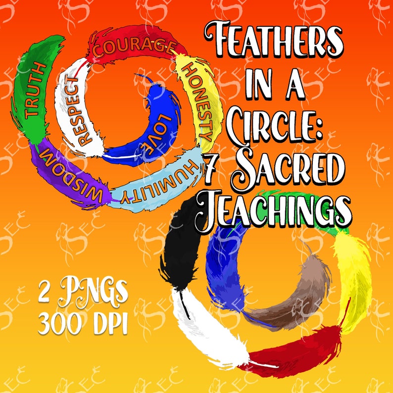 7 Sacred Teachings Feathers Transparent Clipart - Etsy