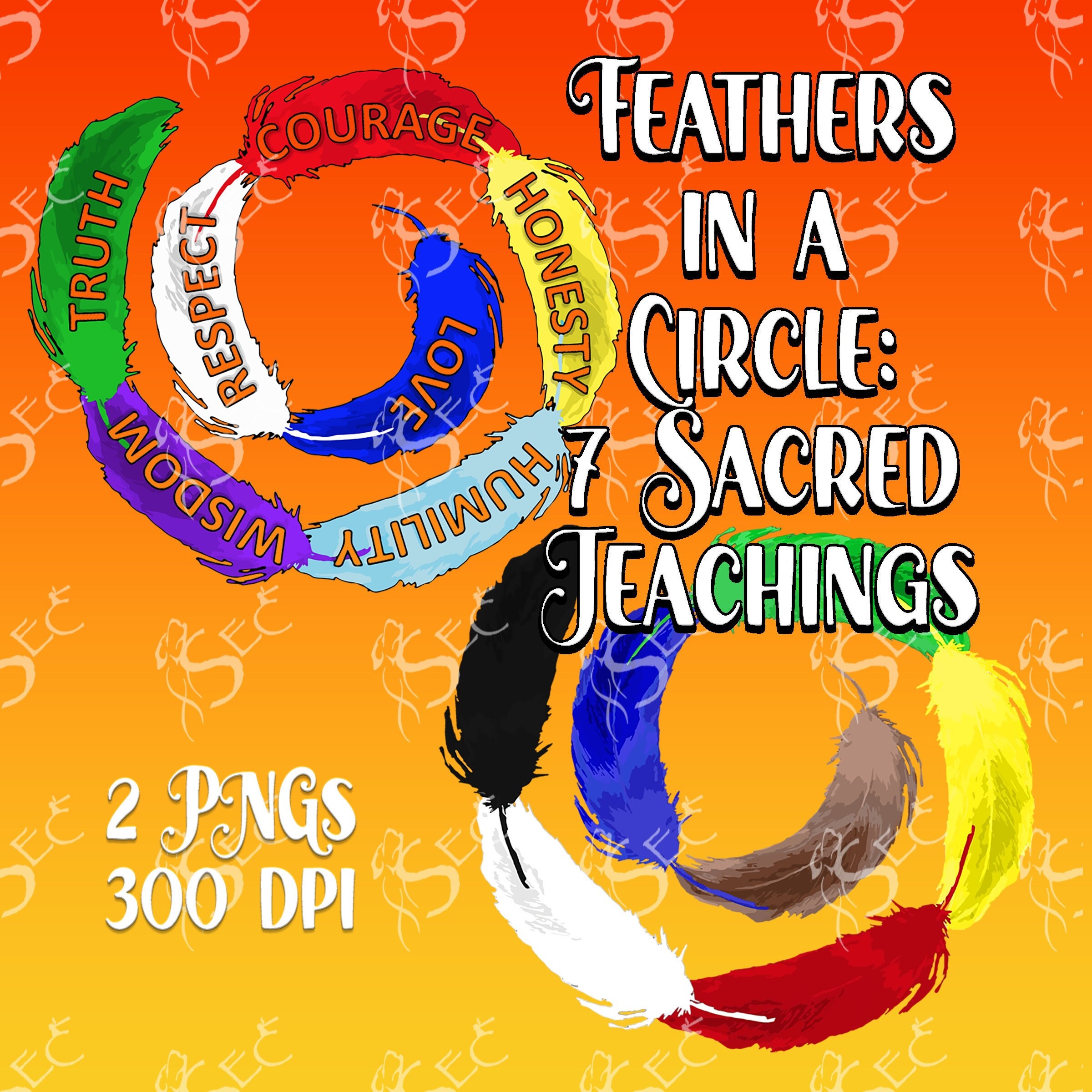 7 Sacred Teachings Feathers Transparent Clipart - Etsy