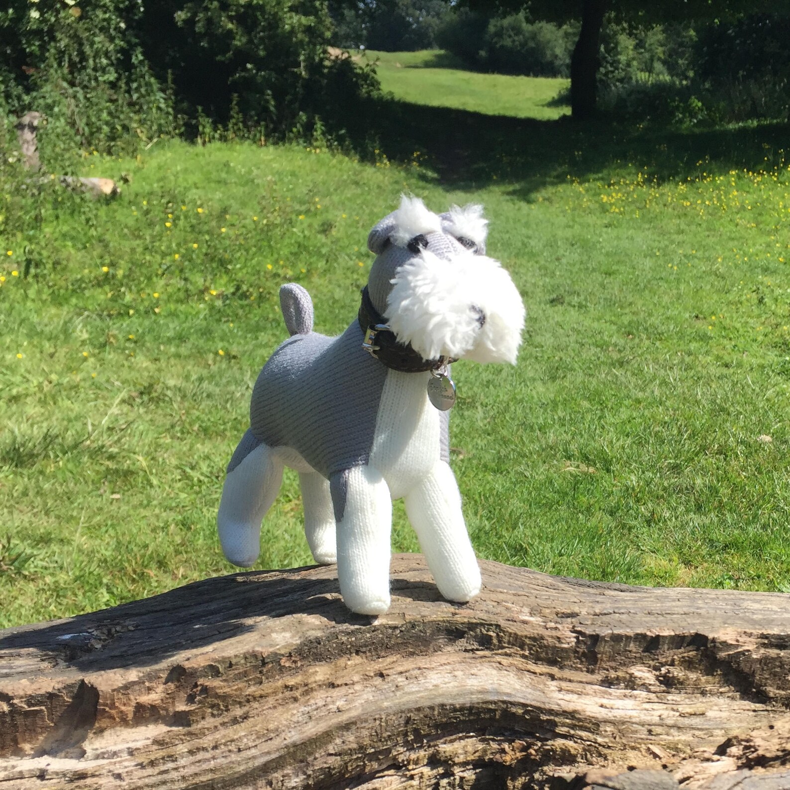 Schnauzer - Personalised Schnauzer Gift, Schnauzer Gift, Gift Boxed ...