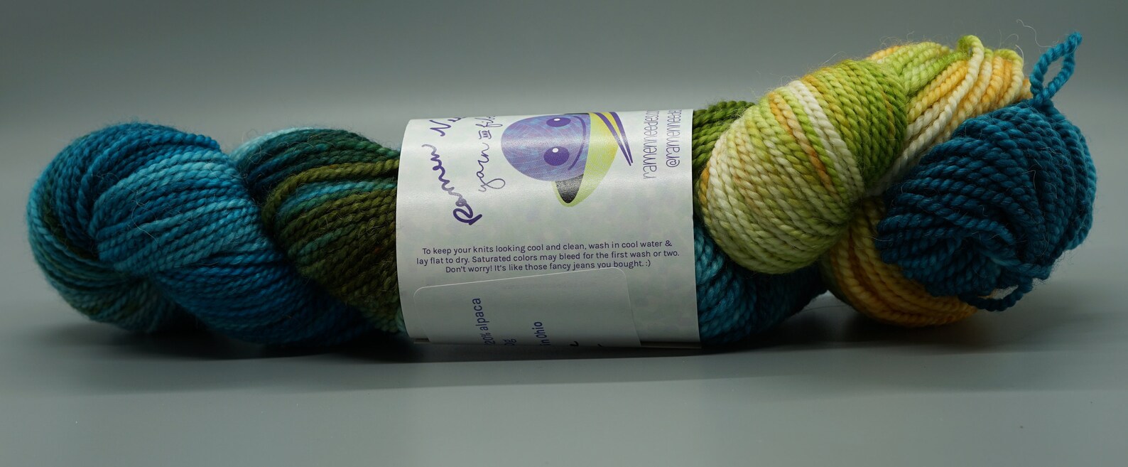 Ramen Needles Yarn & Fiber Worsted Weight in Lake Erie Monster Bessie ...