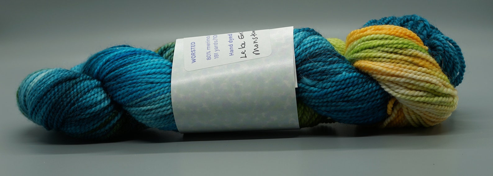 Ramen Needles Yarn & Fiber Worsted Weight in Lake Erie Monster Bessie ...