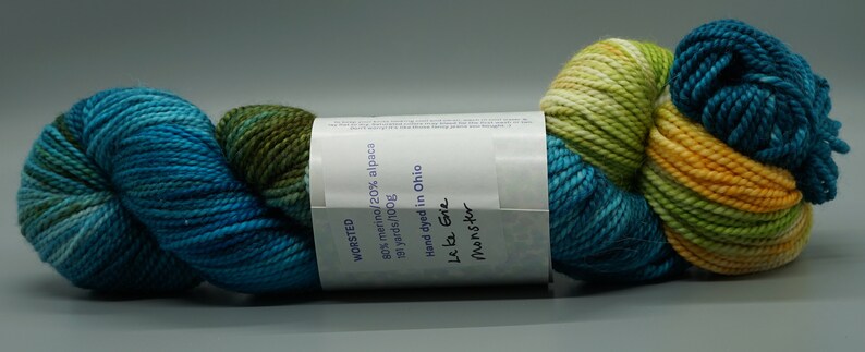 Ramen Needles Yarn & Fiber Worsted Weight in Lake Erie Monster Bessie ...