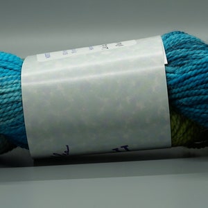 Ramen Needles Yarn & Fiber Worsted Weight in Lake Erie Monster Bessie ...