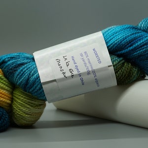 Ramen Needles Yarn & Fiber Worsted Weight in Lake Erie Monster Bessie ...