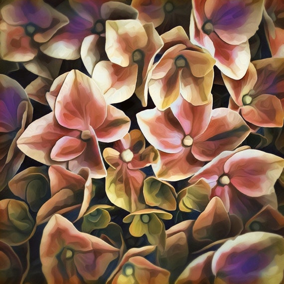 Hydrangeas/cross Stitch Pattern/digital File Only | Etsy