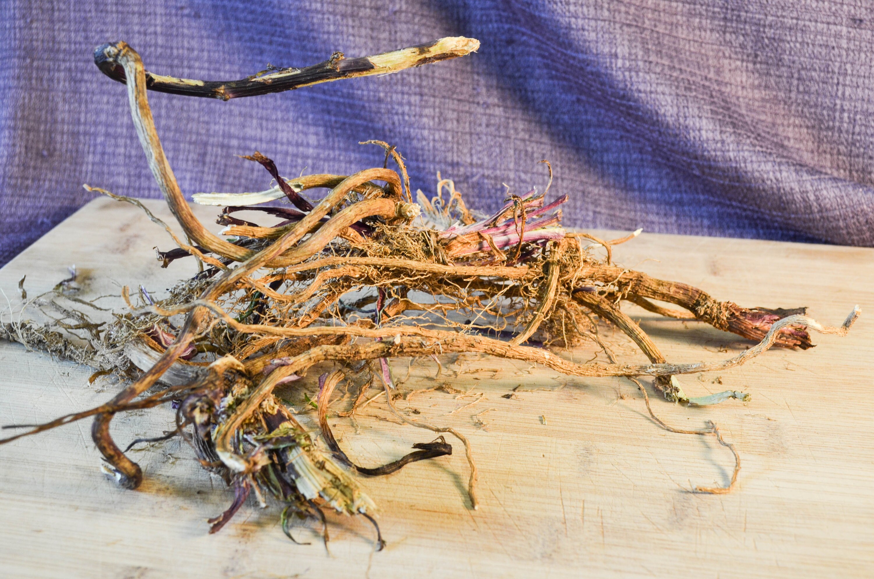 Shop Dried — Purple Sage Farms