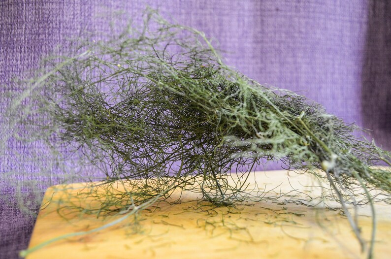 Dried Bronze Fennel – Certified Organic, Hand Harvested, Whole Leaf - Etsy