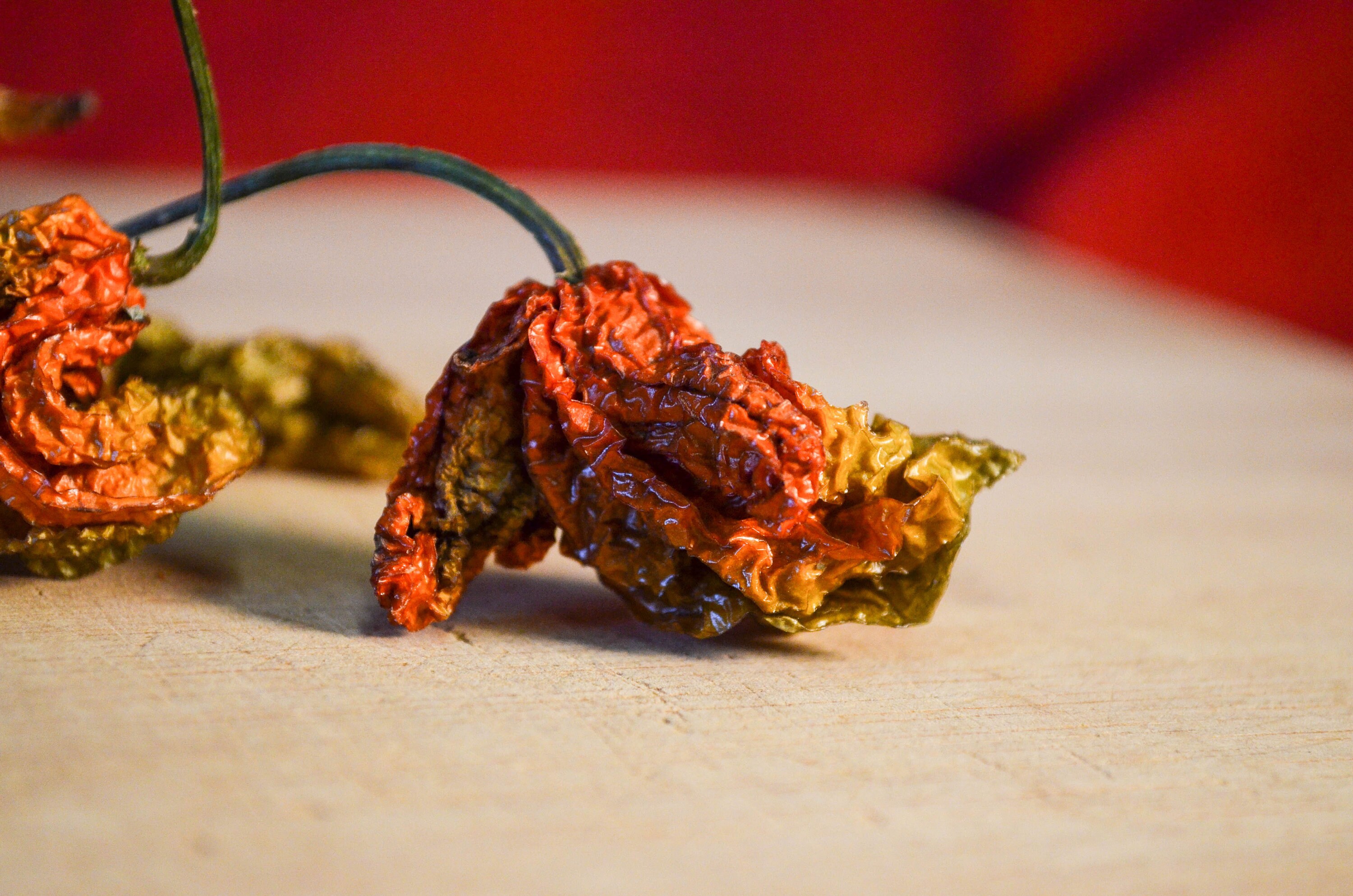 Dried Ghost Peppers - Certified Organic, Super Spicy, Culinary, Dried ...