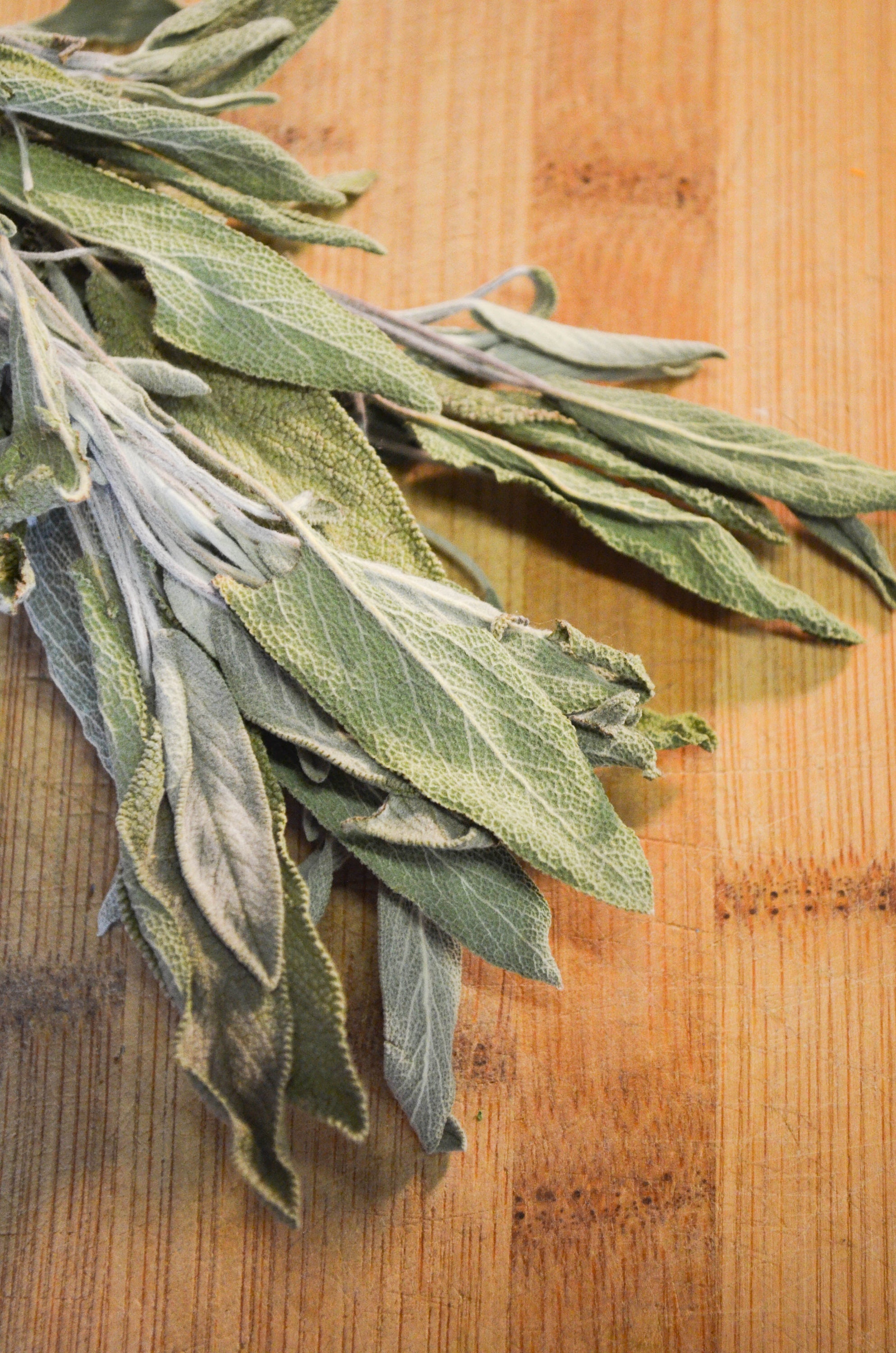 Dried Sage - Certified Organic, Culinary, Salvia Officinalis, Dried ...