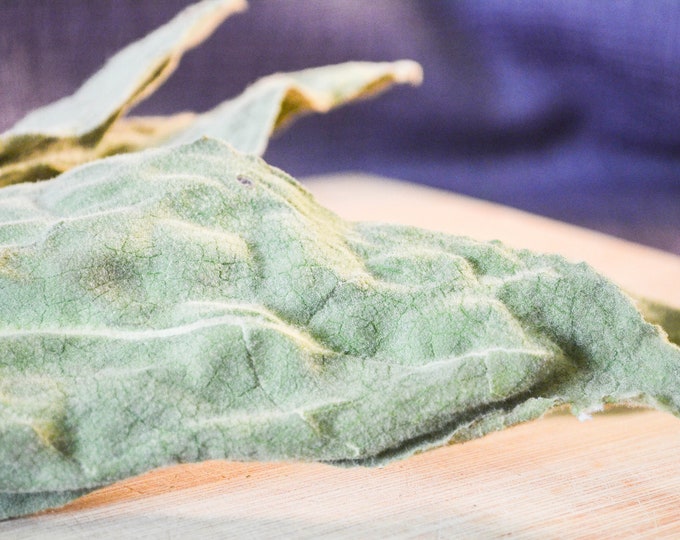 Dried Mullein Leaf - Ceritified Organic, Mullein, Verbascum Thapsus ...