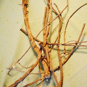 Dried Licorice Root – Certified Organic, Hand Harvested Roots - Etsy