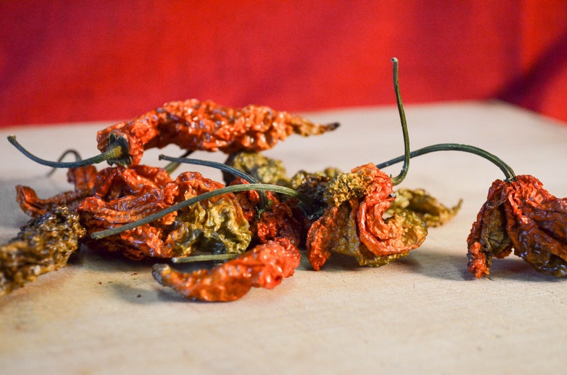 Dried Ghost Peppers - Certified Organic, Super Spicy, Culinary, Dried ...
