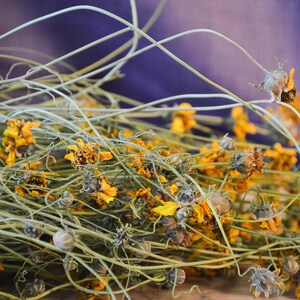 PurpleSageFarms - Etsy