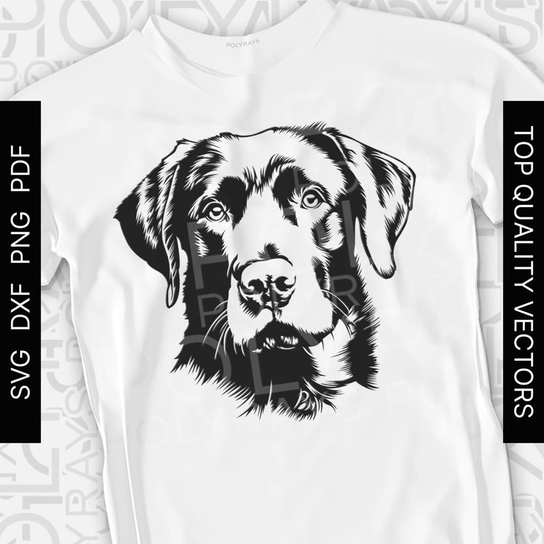 Labrador Svg, Stencil Lab, Dog, Animals, Labrador Designs, Cutting ...