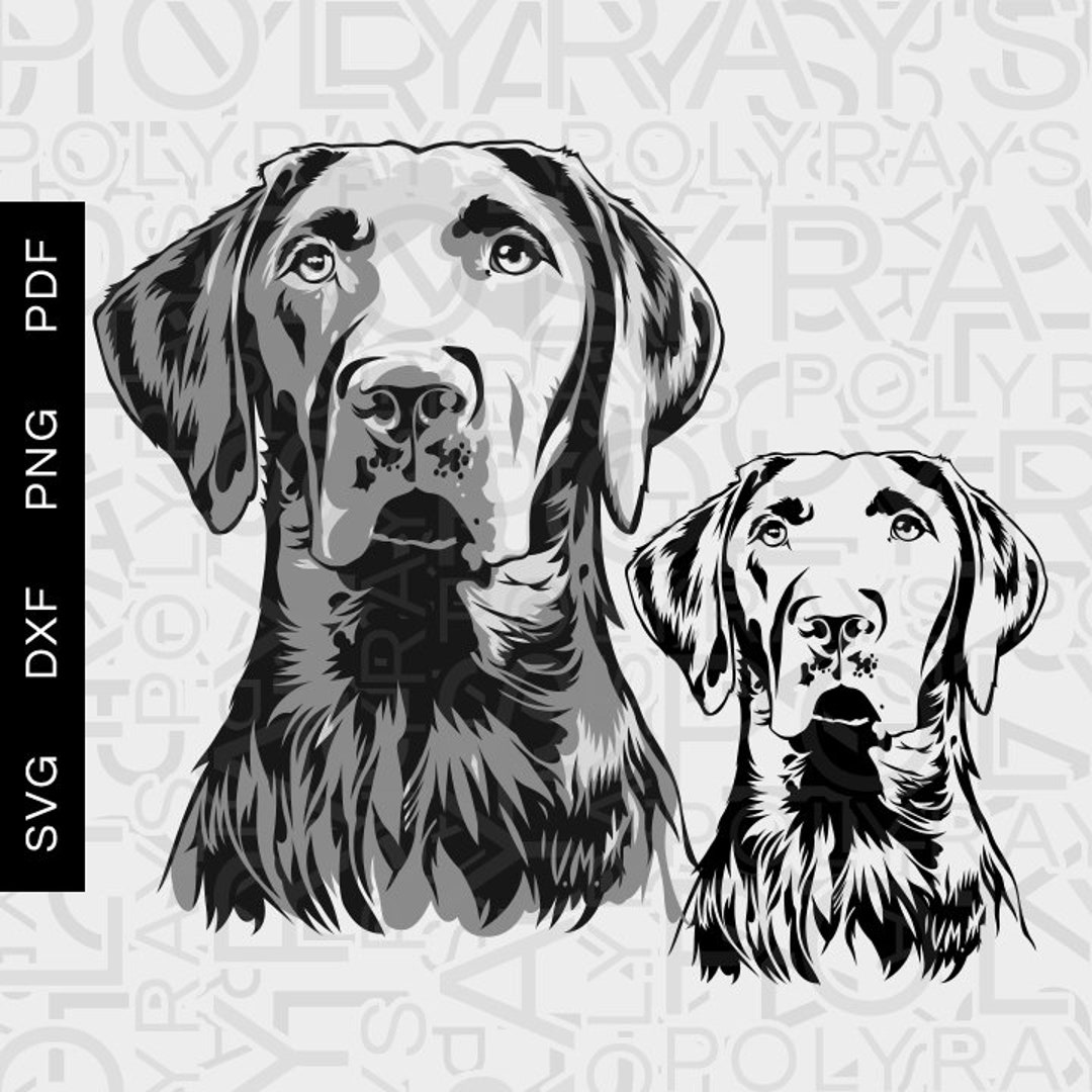 Labrador Svg, Black Labrador Svg, Doggo Svg, Doge Svg, My Lab Svg, My ...