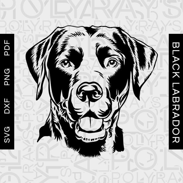 Black Lab Svg - Etsy