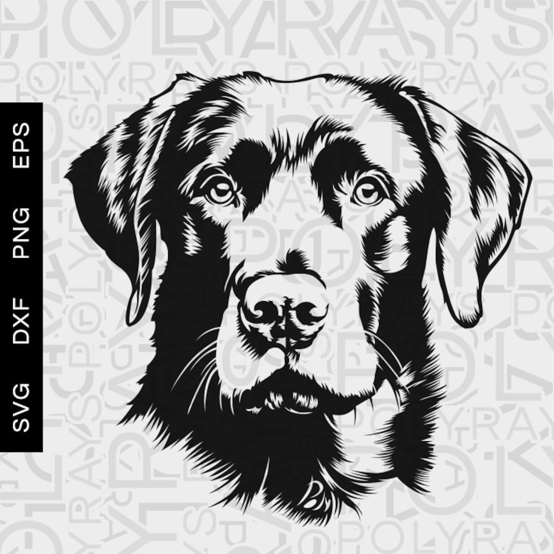 Labrador Svg, Stencil Lab, Dog, Animals, Labrador Designs, Cutting ...