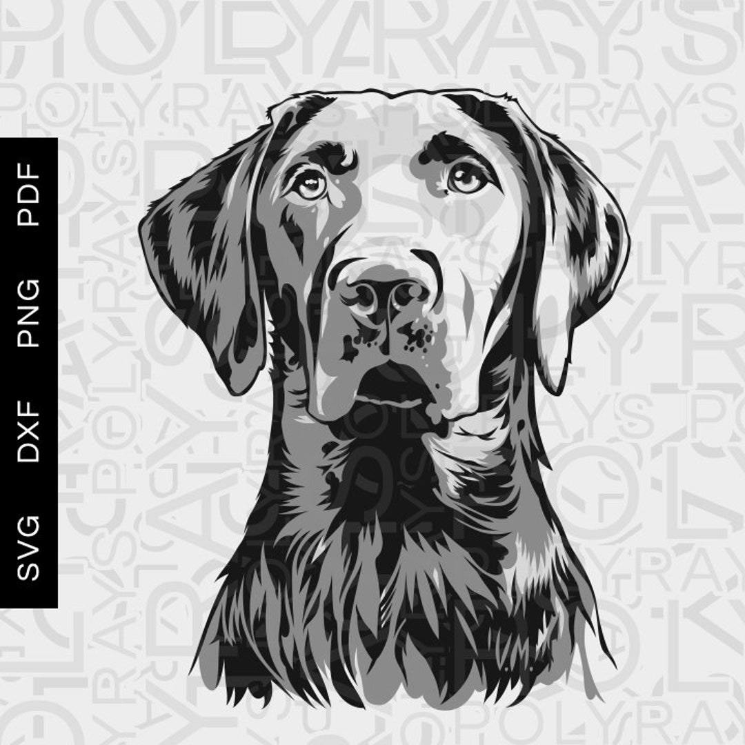 Labrador Svg Black Labrador Svg Doggo Svg Doge Svg My Lab - Etsy