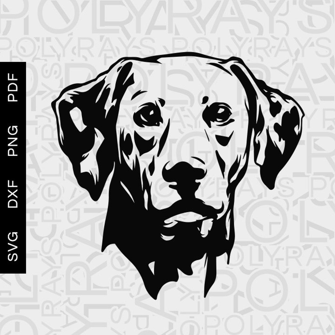 Dalmatian SVG, Doggo Svg, Dalmatian Dxf, Clipart, Stencil Svg, Puppy ...