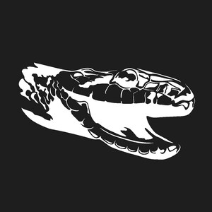 Snake Svg, Serpent Svg, Reptile Svg, Python Svg, Slither Svg, Anaconda ...