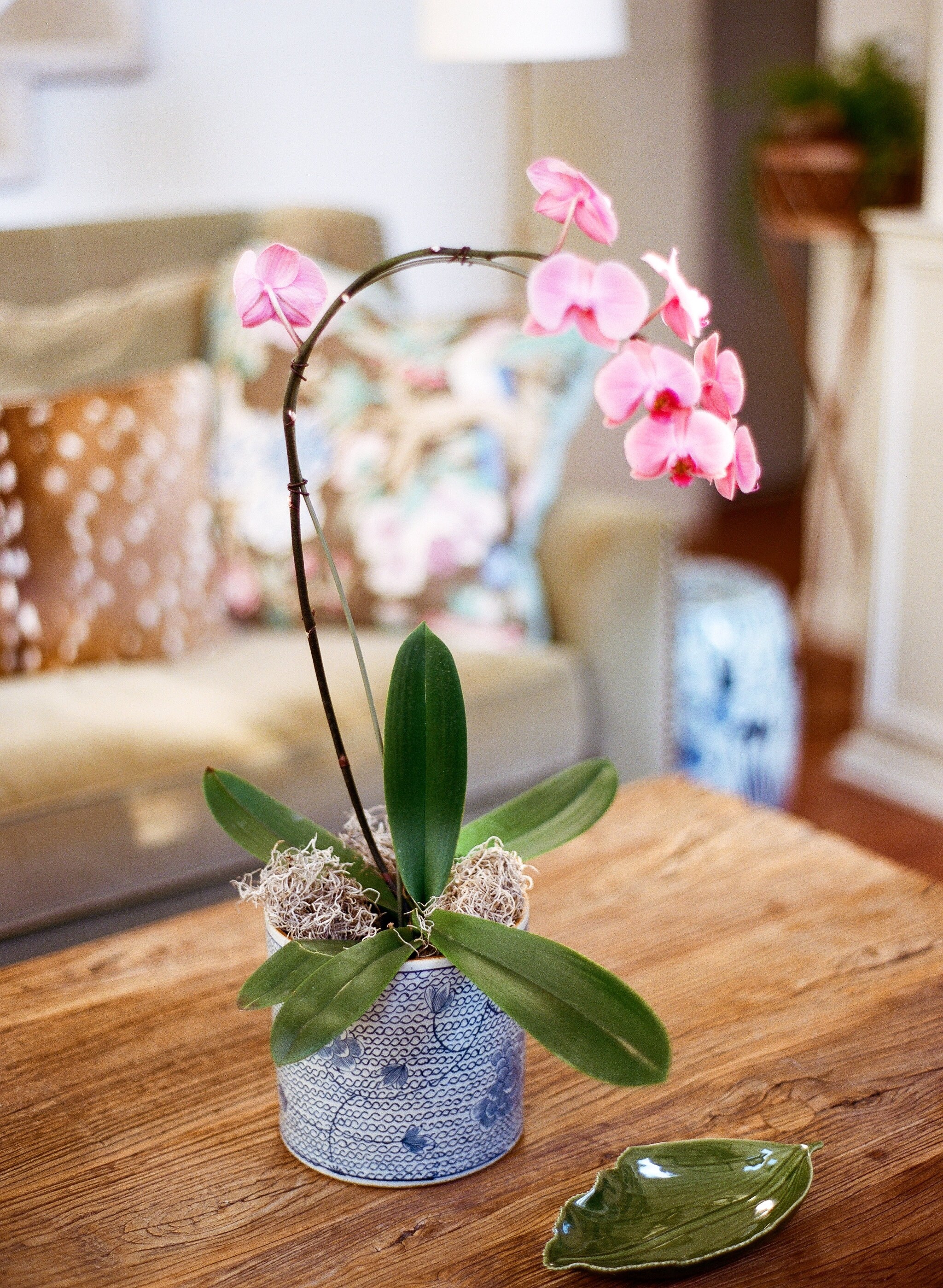Blue and White Orchid Pot / Cache Pot - Etsy