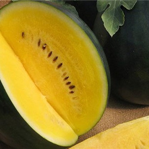 Dixie Queen Watermelon Seeds - Etsy