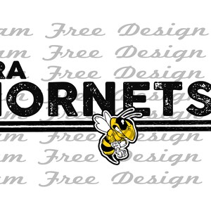 ERA Hornets Custom Files | Black Shirt Rip | Cheetah Print | Leopard ...