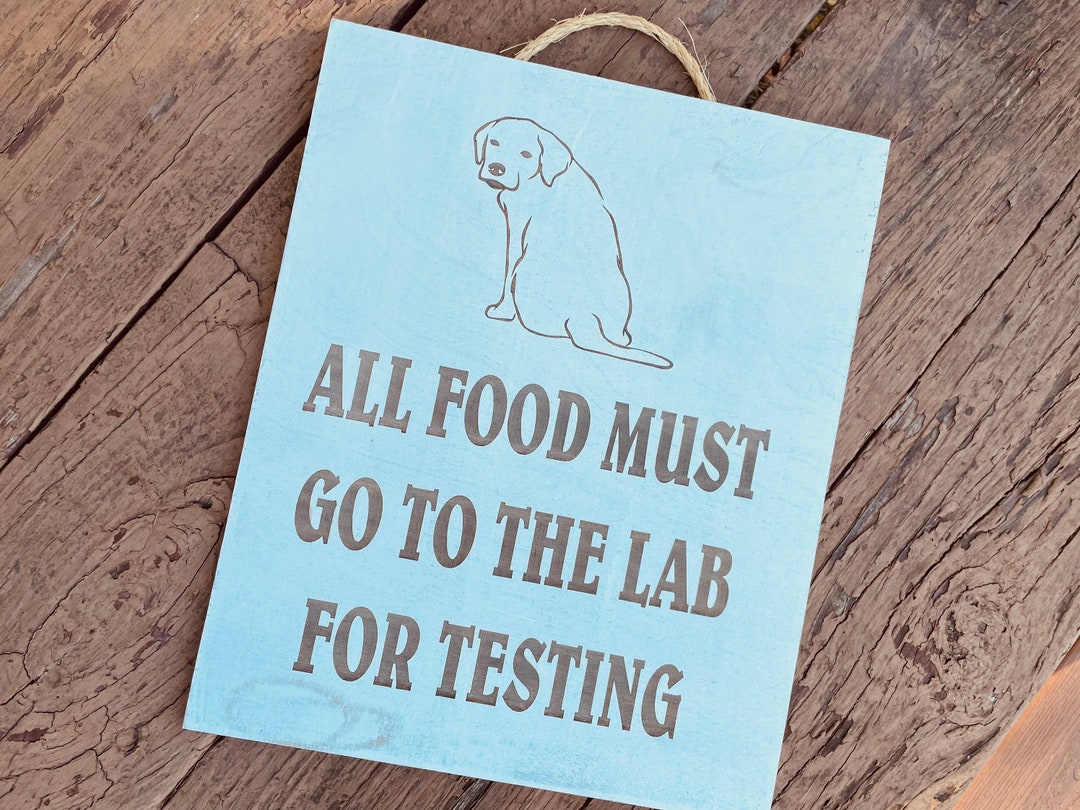 All Food Must Go to the Lab for Testing - Sign - Etsy