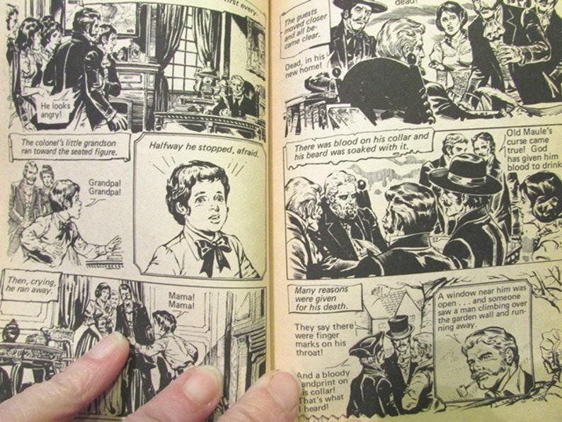 Classic Literature Graphic Novel Book Jane Eyre War of the - Etsy