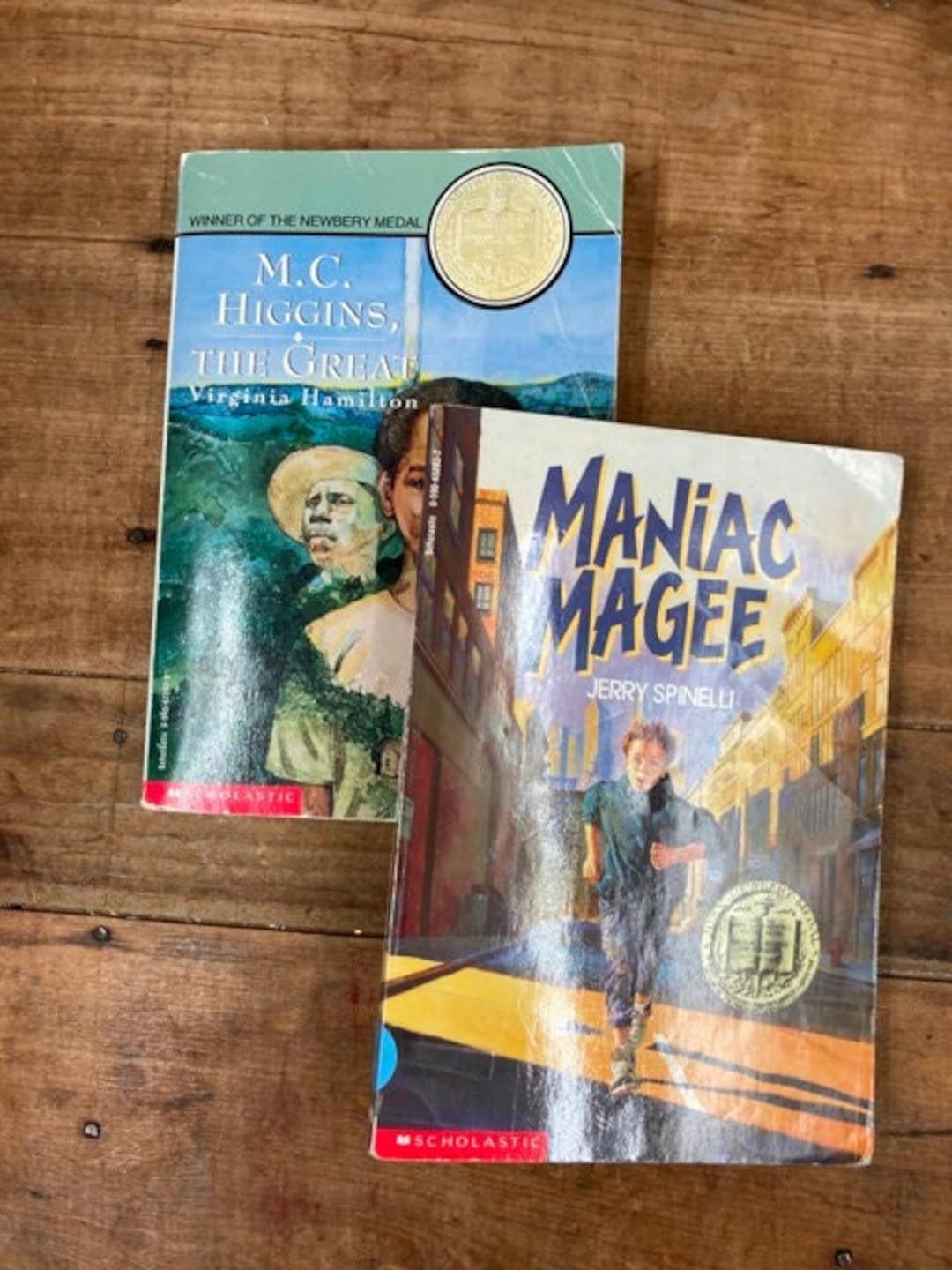 Maniac Magee by Jerry Spinelli & M C Higgins the Great by Virginia ...