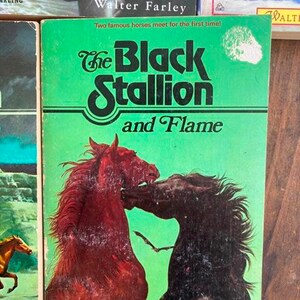 The Black Stallion by Walter Farley Book Series YOUR CHOICE of Title ...