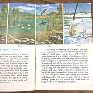 Pond Life A Golden Nature Guide to Common Plants and Animals of North ...