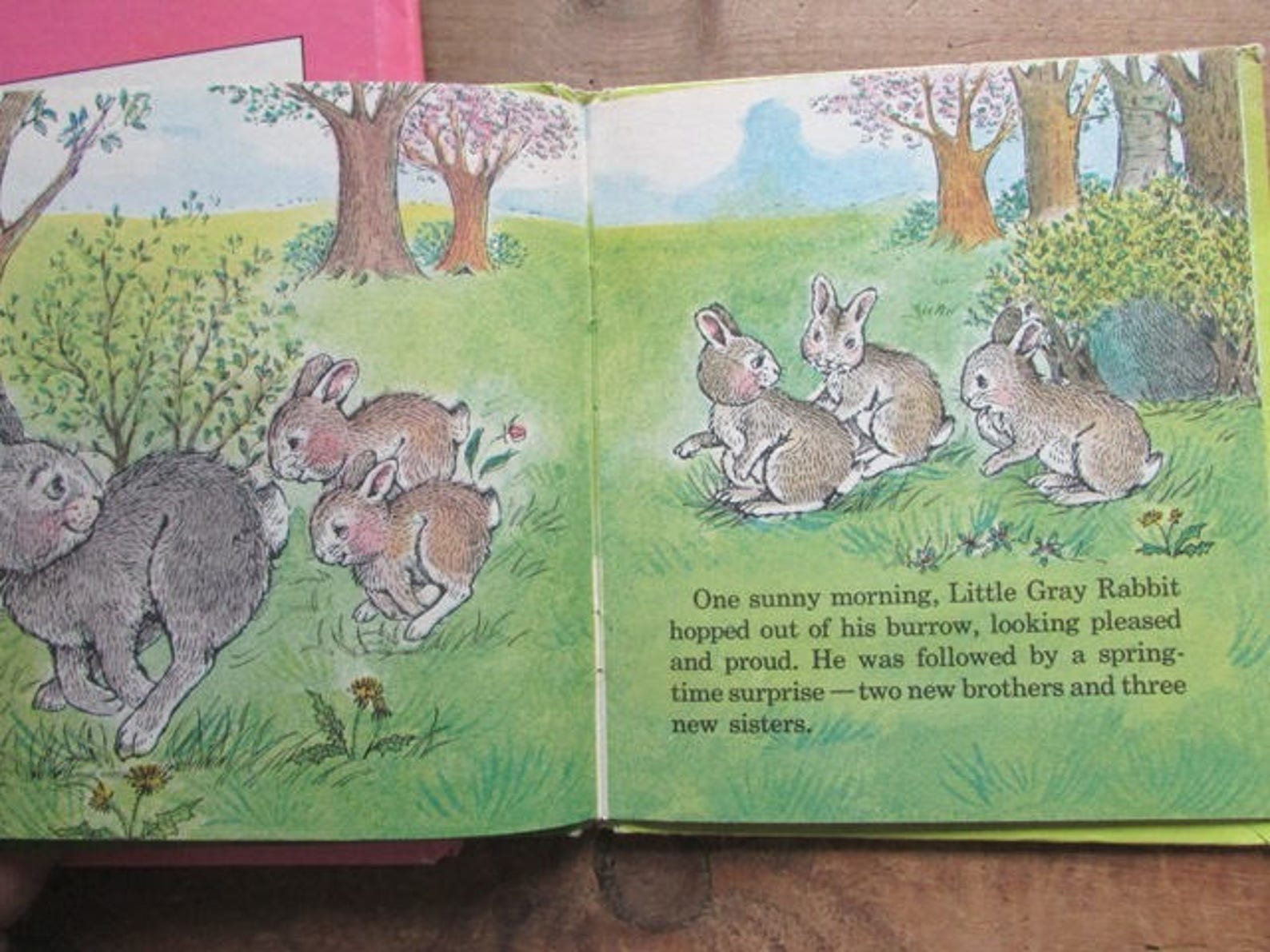 Rabbit Picture Book Set Children's Books Read Aloud | Etsy
